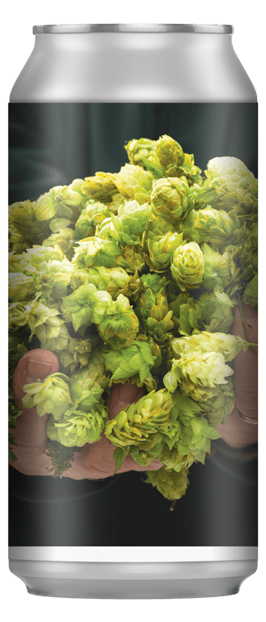 EVOLUTION OF TRADITION – Northern Monk