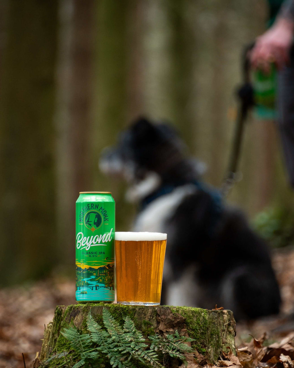 12 Pack: Beyond Classic IPA 6.5% Pint – Northern Monk
