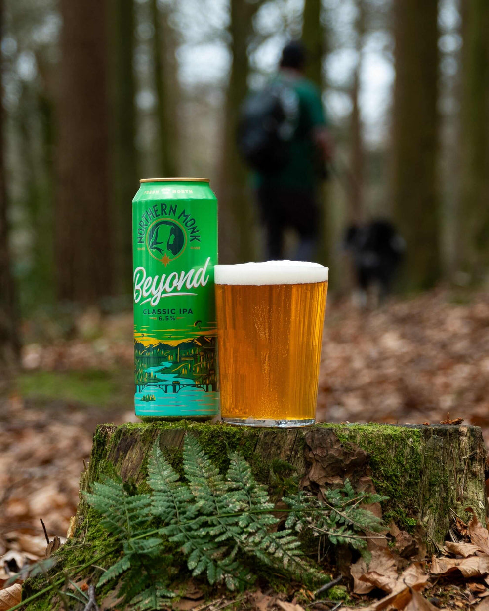 12 Pack: Beyond Classic IPA 6.5% Pint – Northern Monk